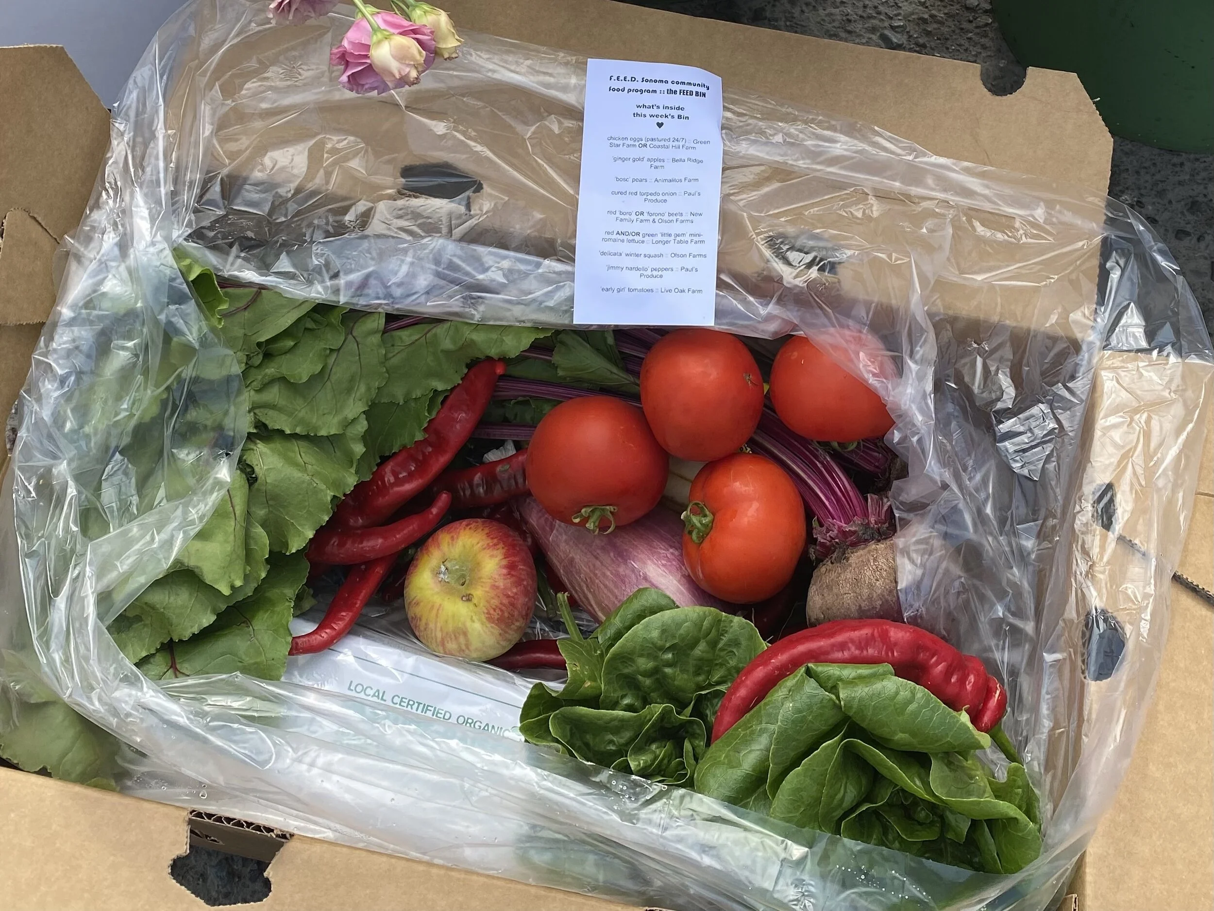 Growing the Table — Farm to Pantry