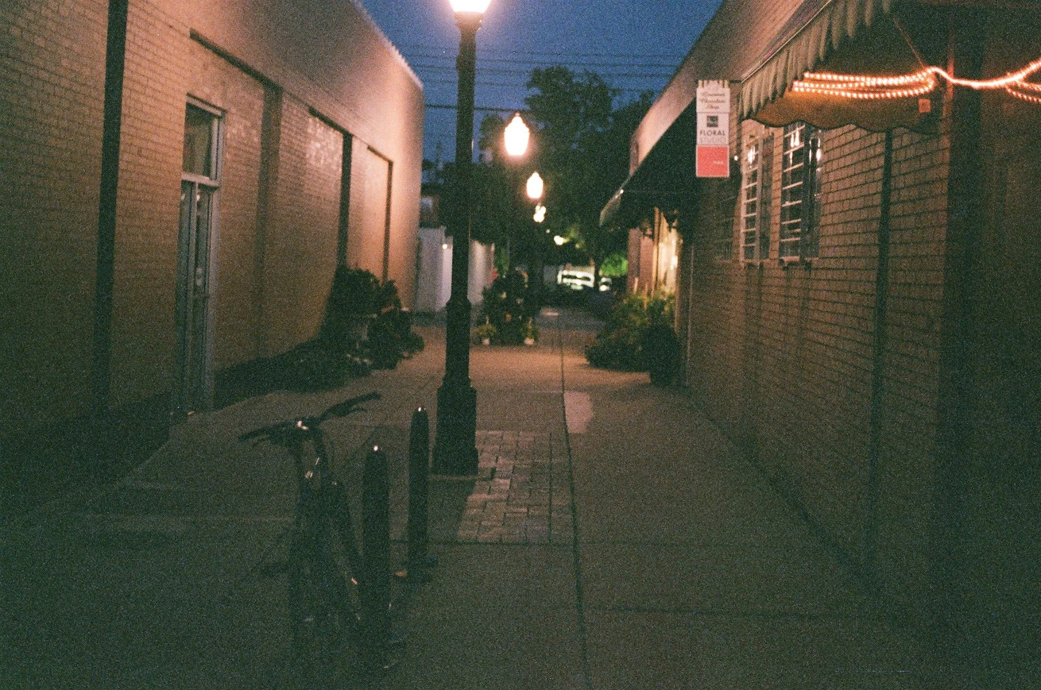 Photography — MARK LEJA