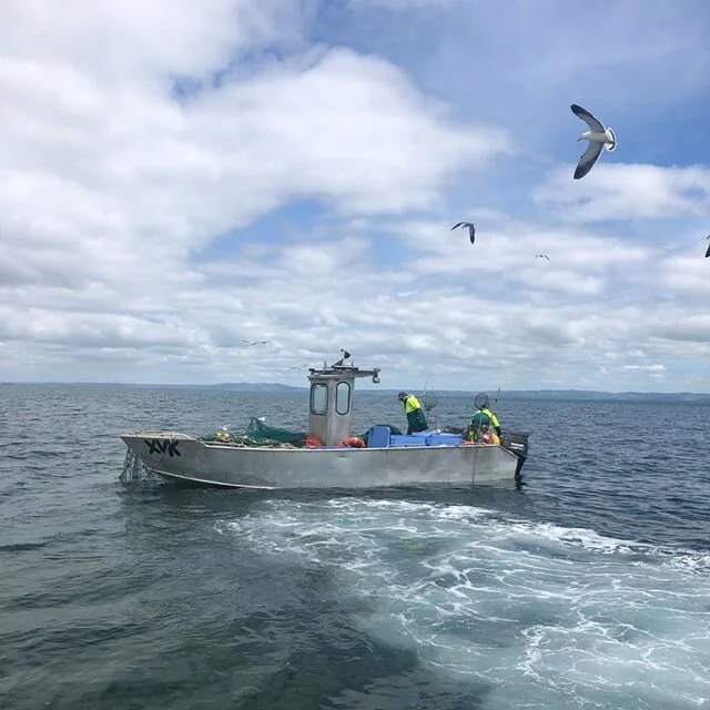 Gallery — Hogget Kitchen