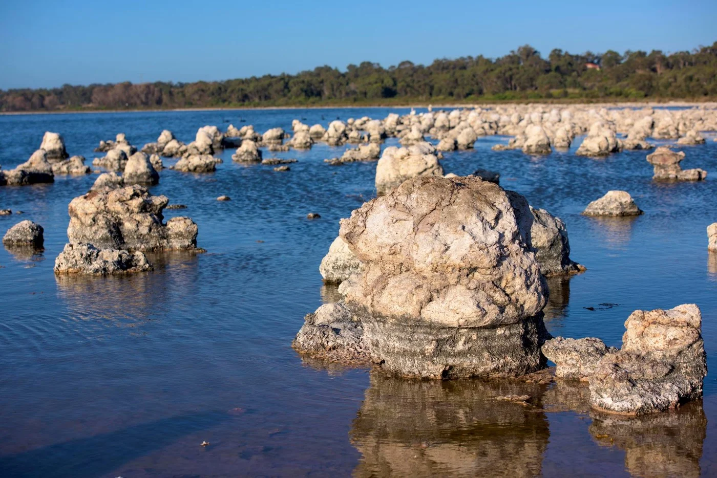 Tours — Djurandi Dreaming