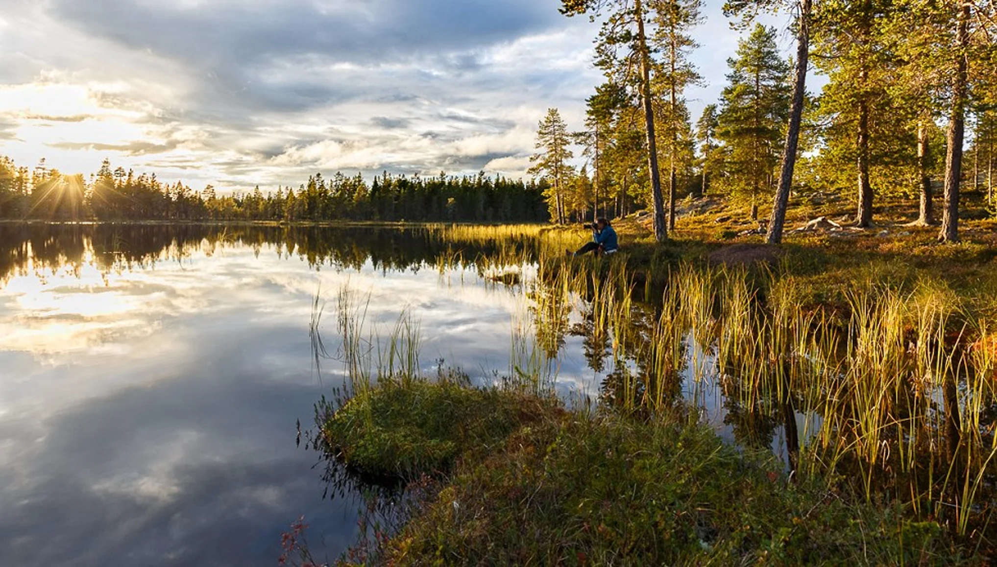 Fjellstyrene i Norge