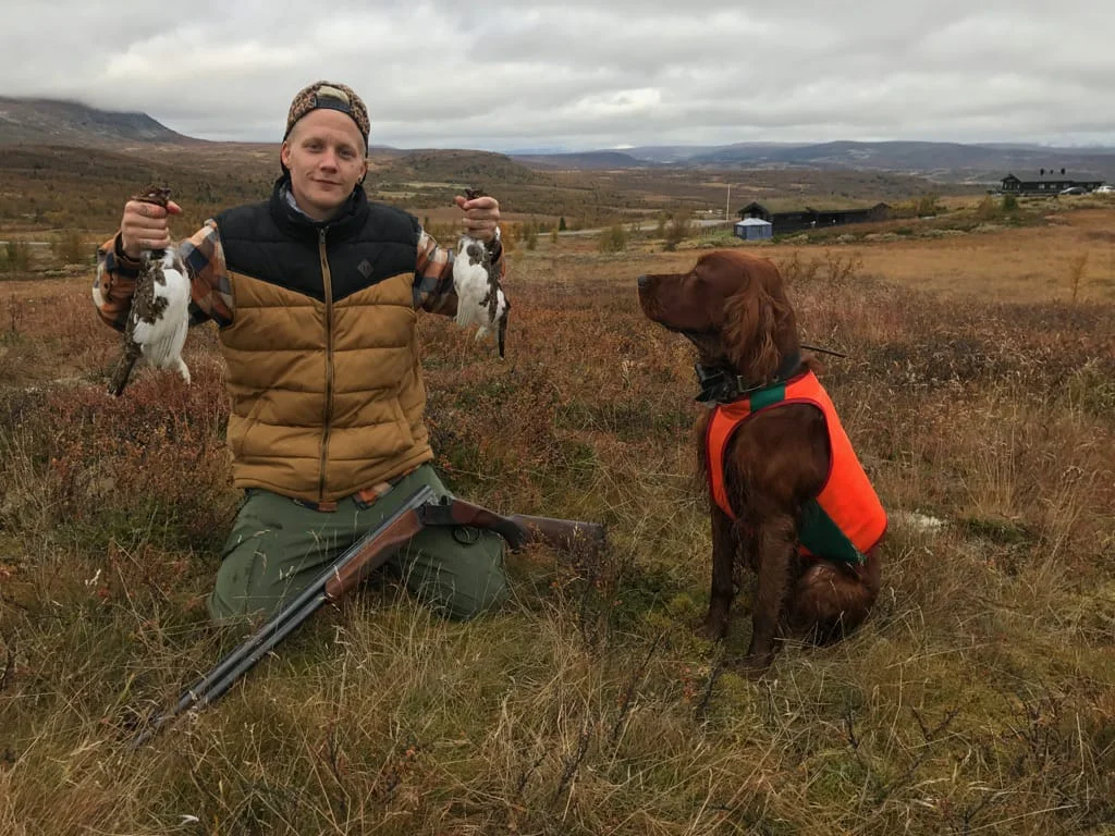 RypeRapporten våren 2018 — Fjellstyrene i Norge