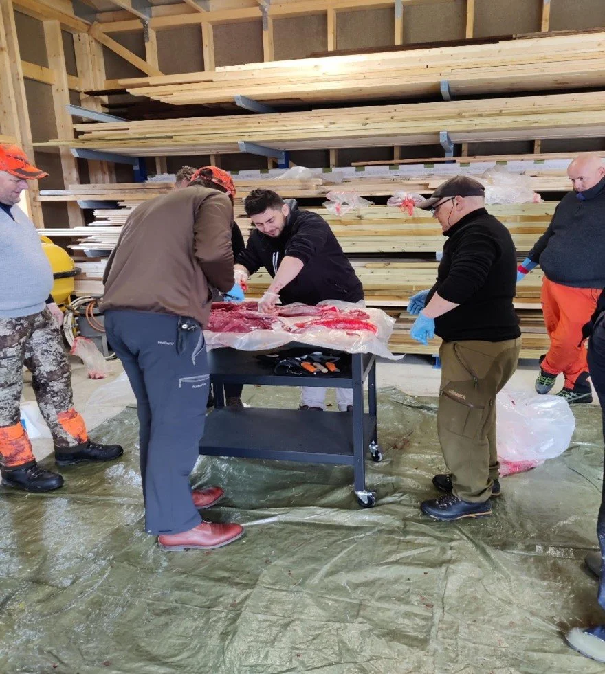 Vellykket introjakt i Gausdal — Fjellstyrene i Norge