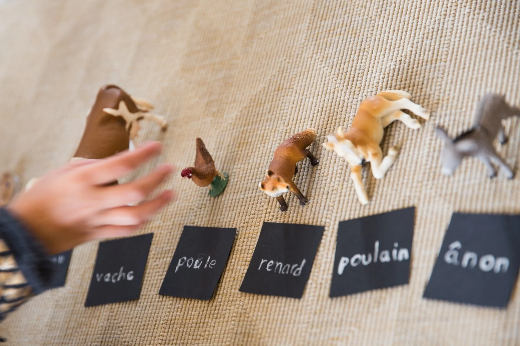 Apprendre Montessori