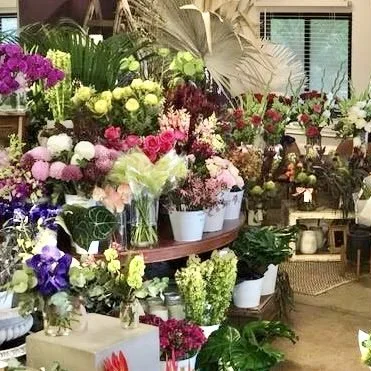 Beija Flor - boutique florist - Darwin