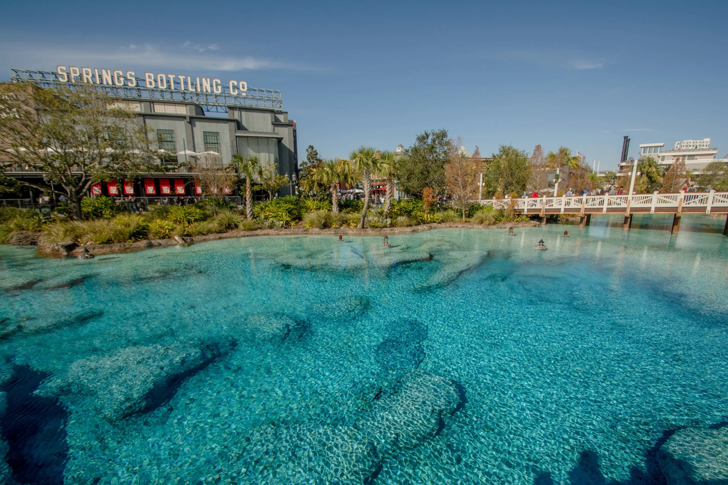 The Surprise of Disney Springs — The Homage Project