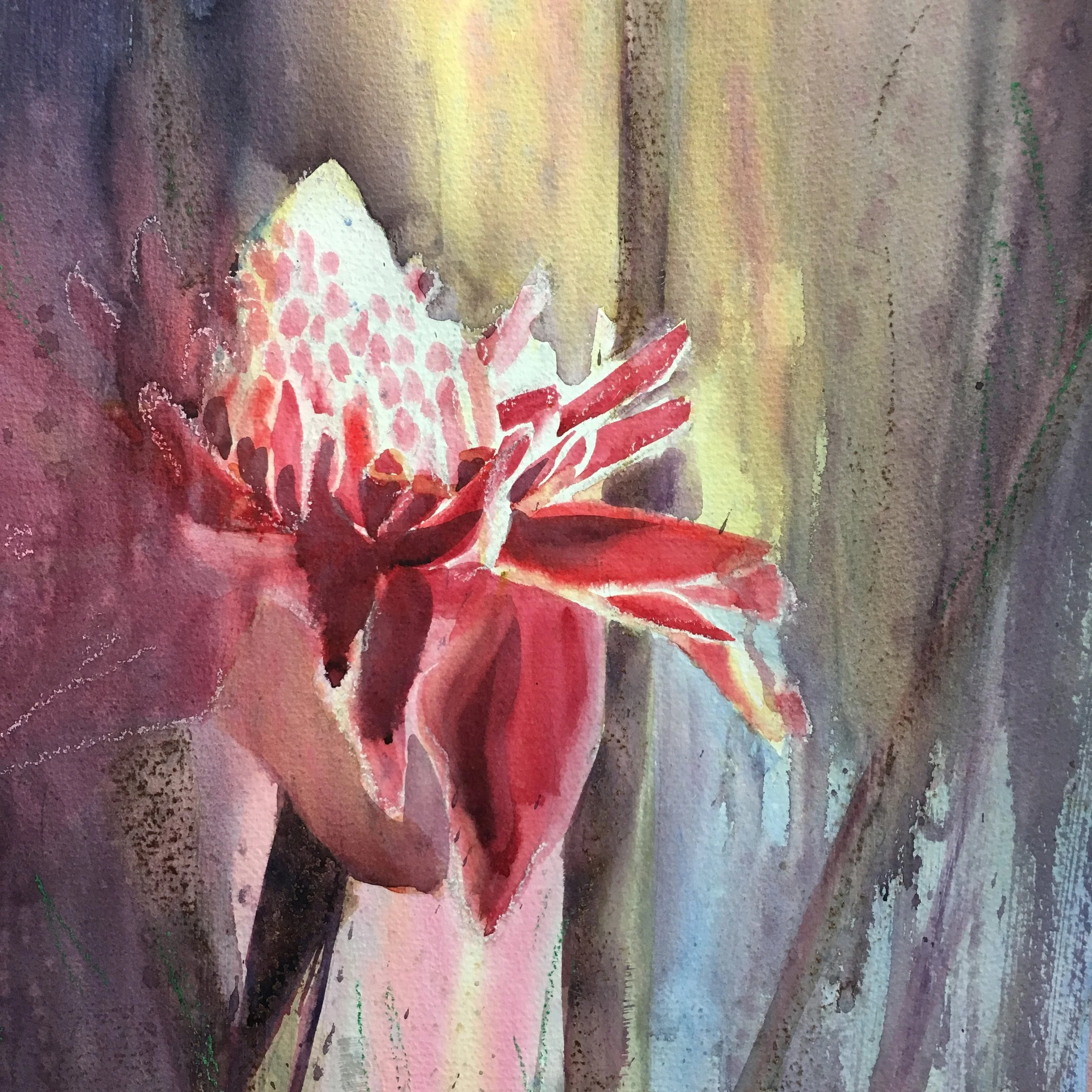 Susan Clare Fine Art