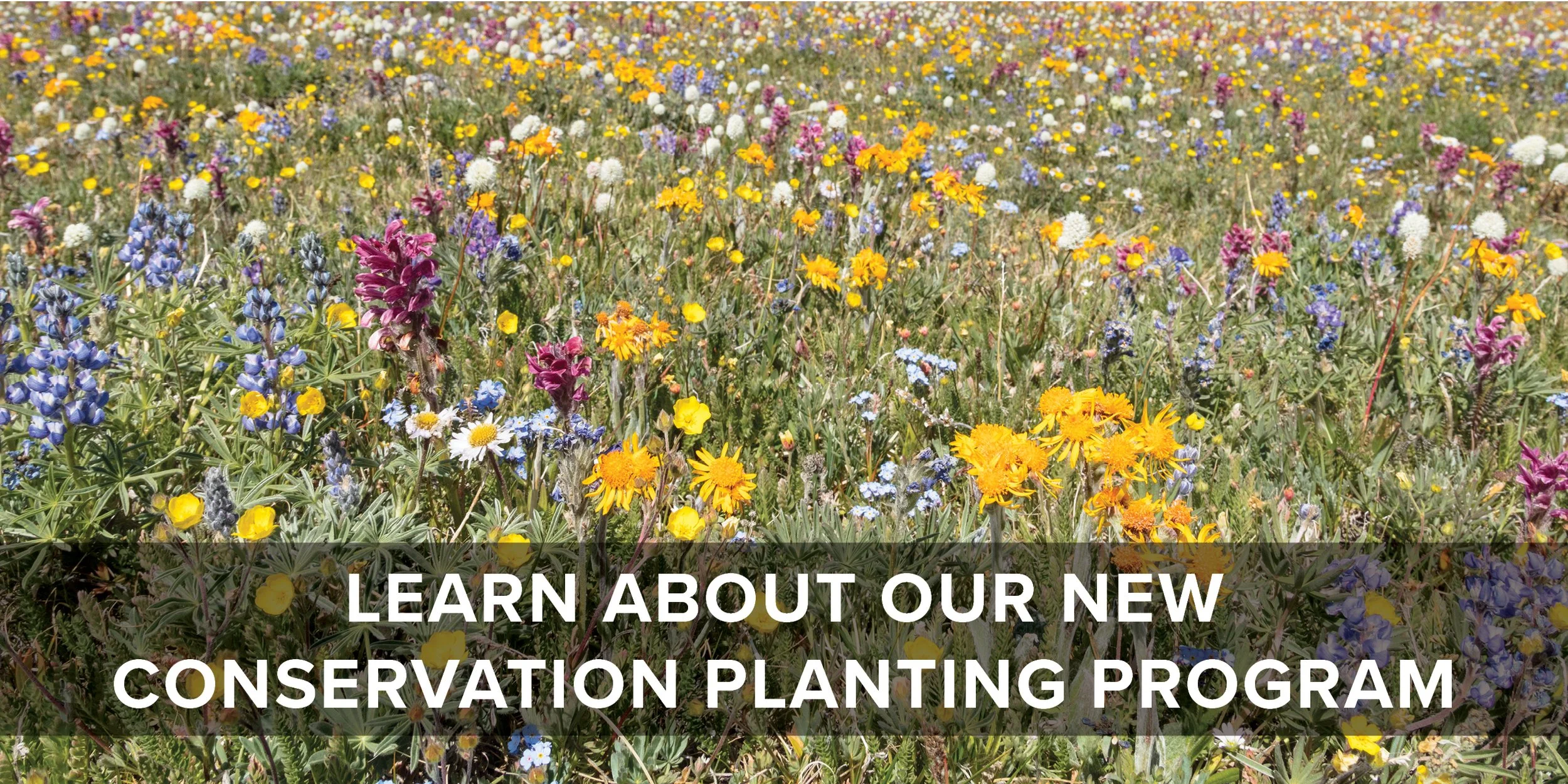 Teton Conservation District