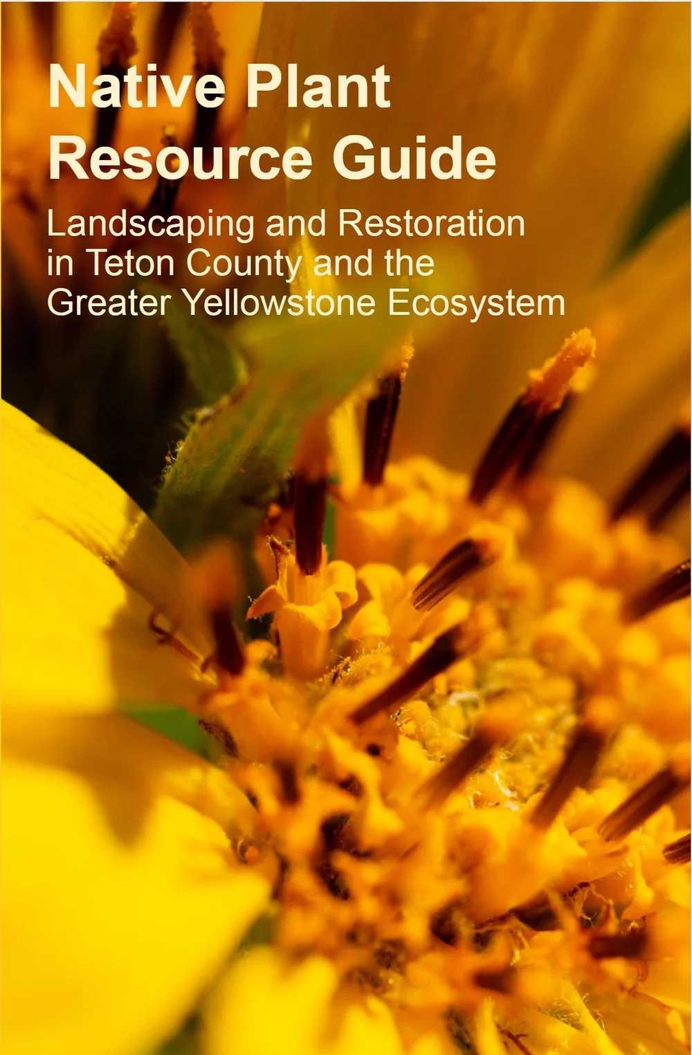 Native Plants — Teton Conservation District