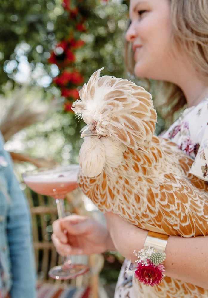 New Lifestyle Photography work: A hen party, that actually had hens ...