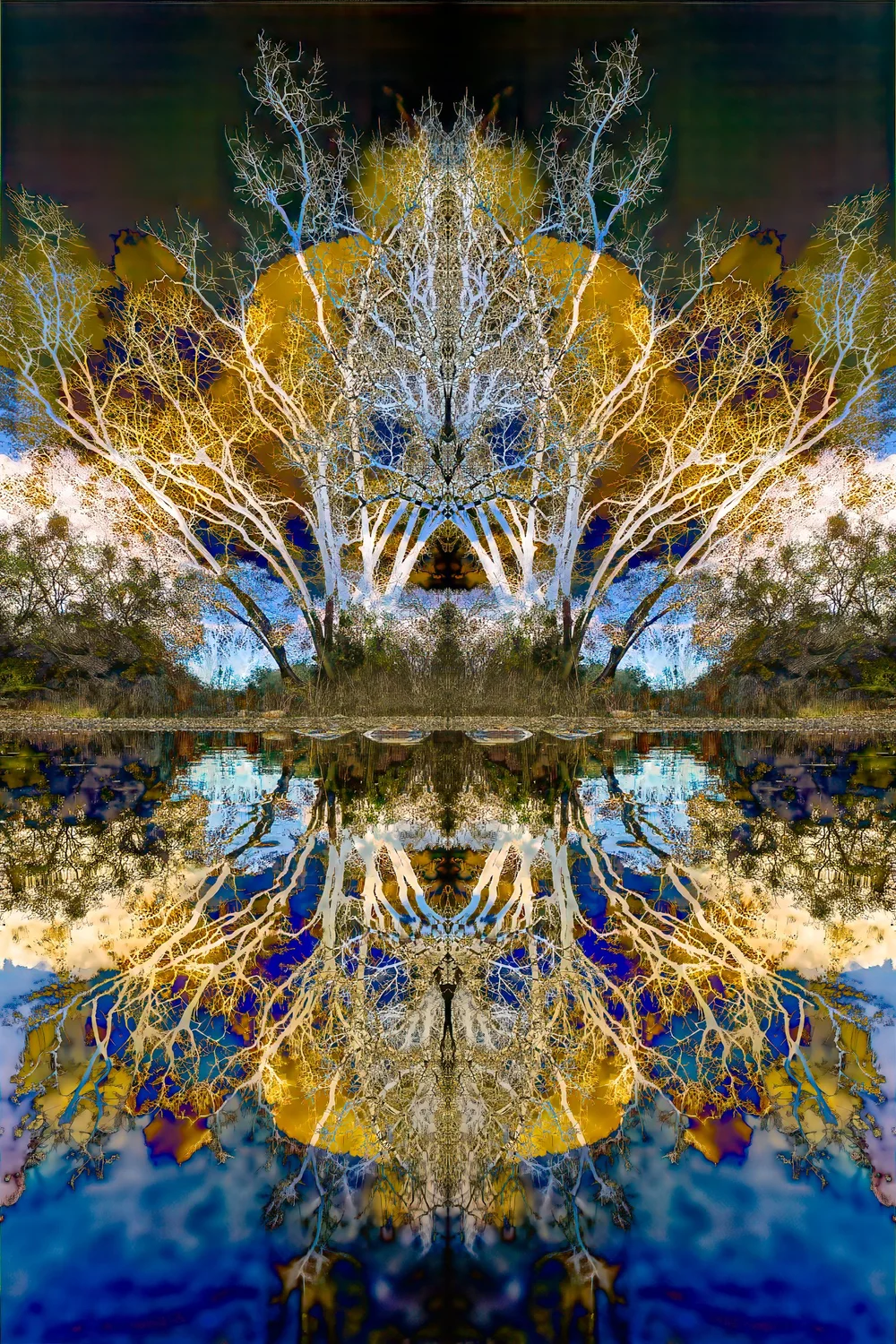 David J Grenier - Fine Art Photography