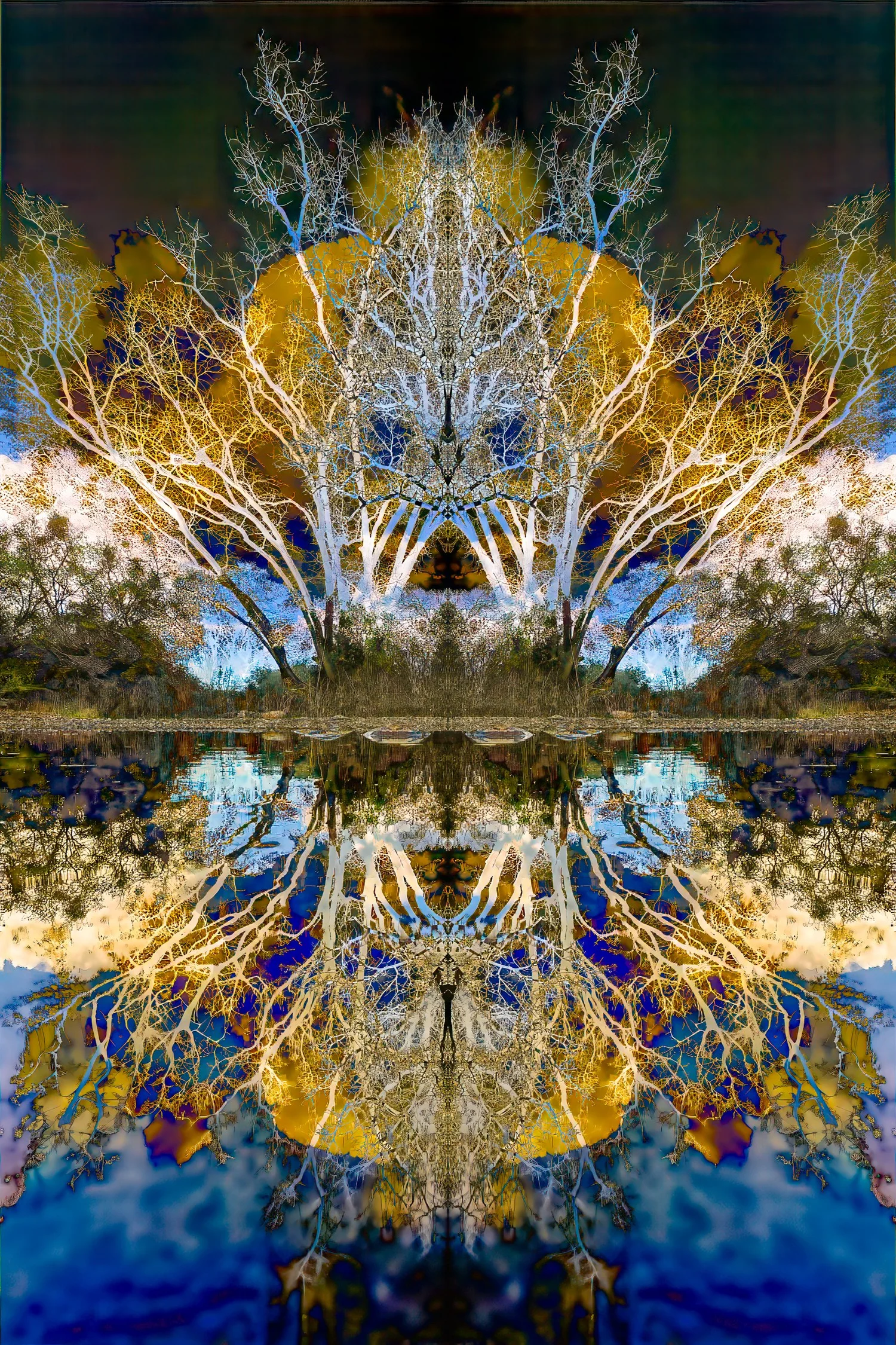 David J Grenier - Fine Art Photography