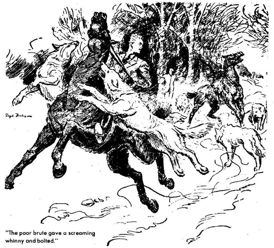 Magazine of Horror No. 28 (July, 1969) — DMR Books