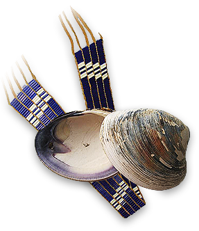 Indian Health Services (IHS) — Mashpee Wampanoag Tribe