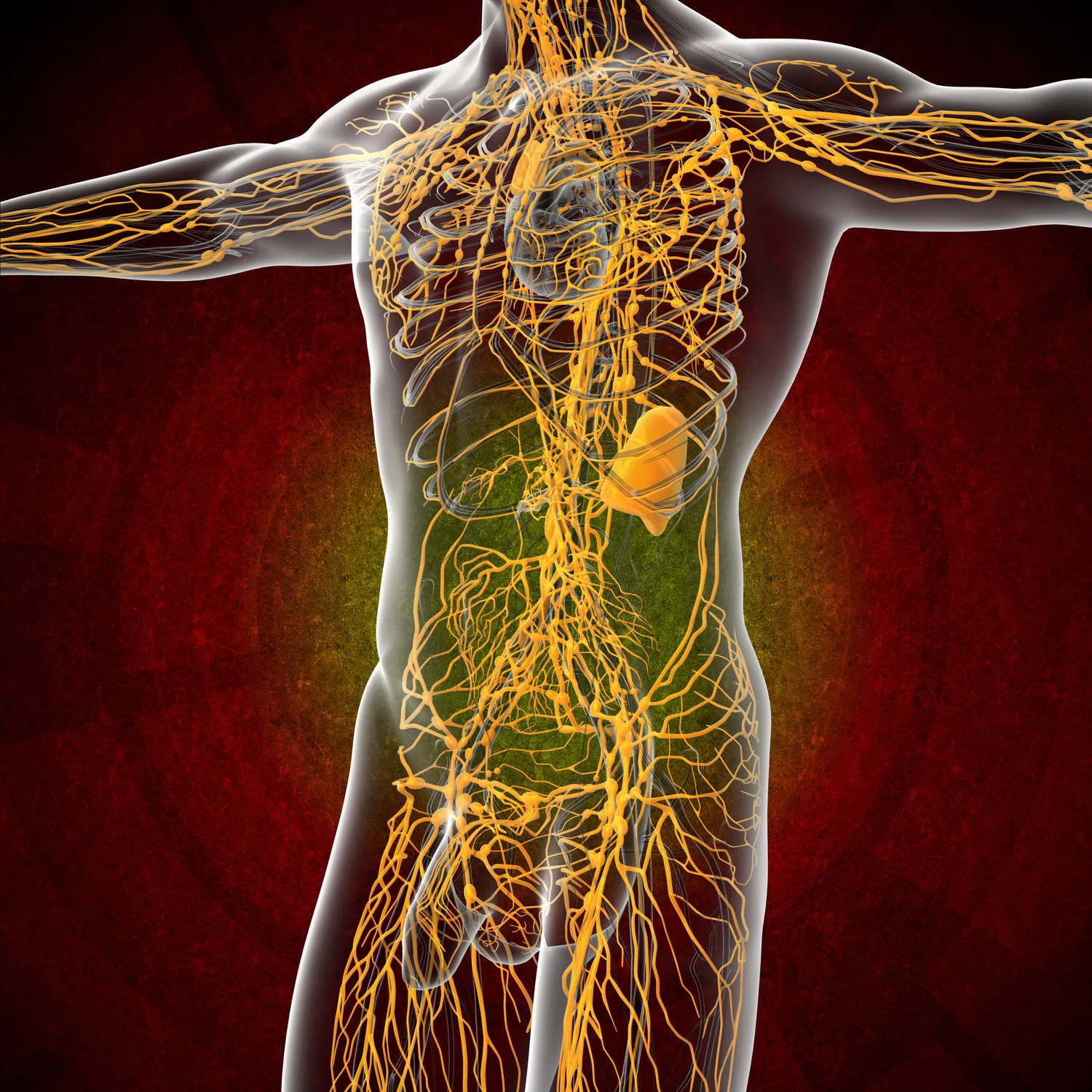 Manual Lymph Drainage — Be Well Bozeman