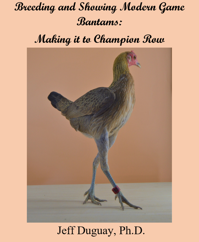 Breeding and Showing Modern Game Bantams: Making it to Champion Row By ...
