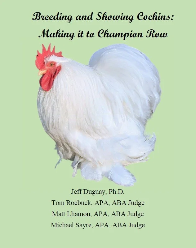 Breeding and Showing Cochins: Making it to Champion Row - By Jeff ...