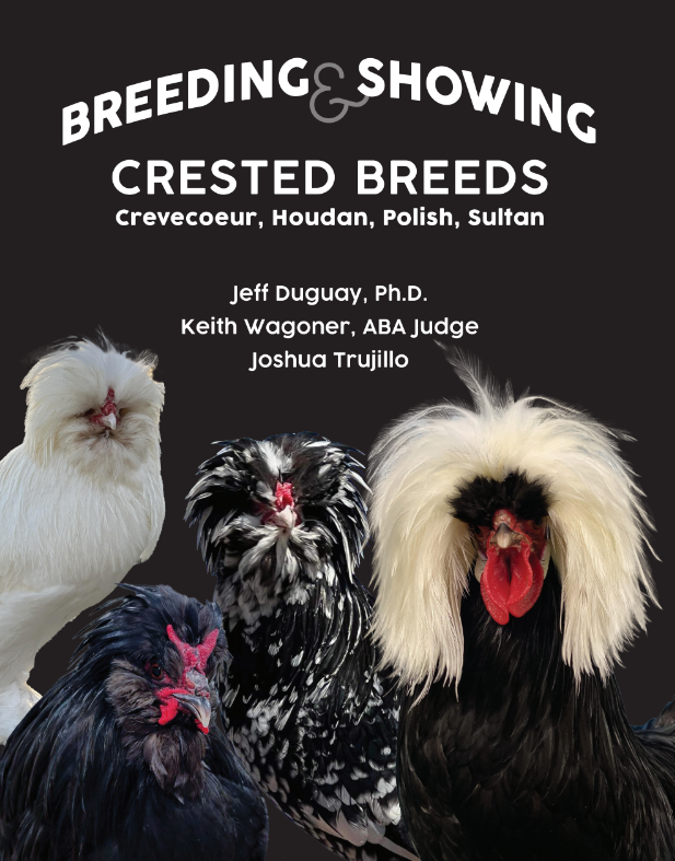 Breeding and Showing Crested Breeds: Crevecoeur, Houdan, Polish, Sultan ...