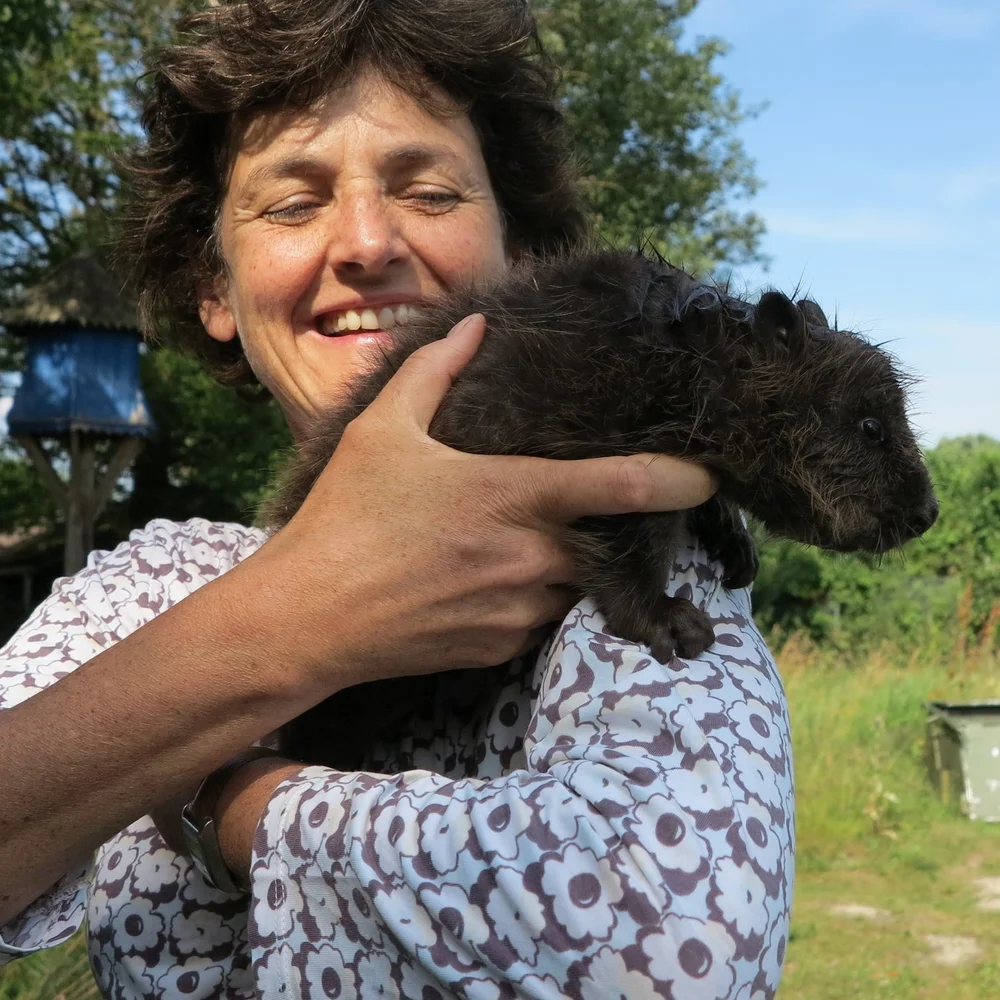 Articles — Isabella Tree