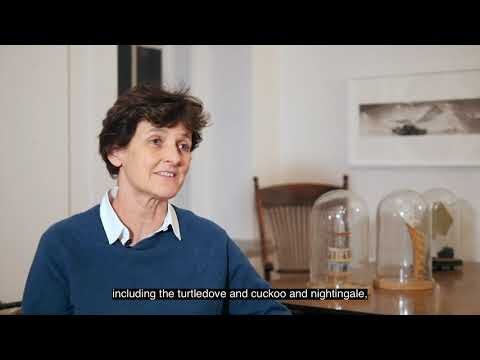 Gallery — Isabella Tree