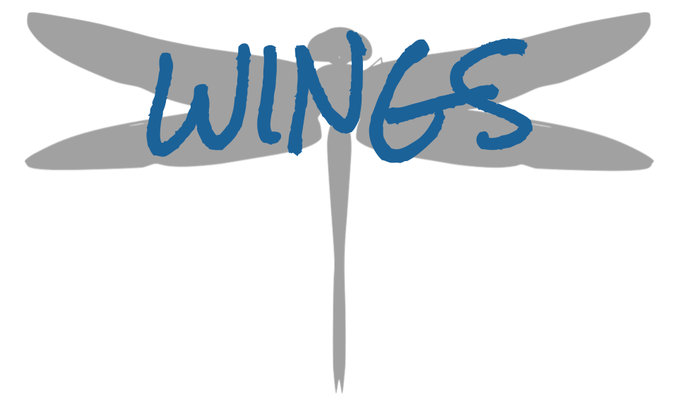 Wisconsin Institute for Next Generation Science — Einstein Project