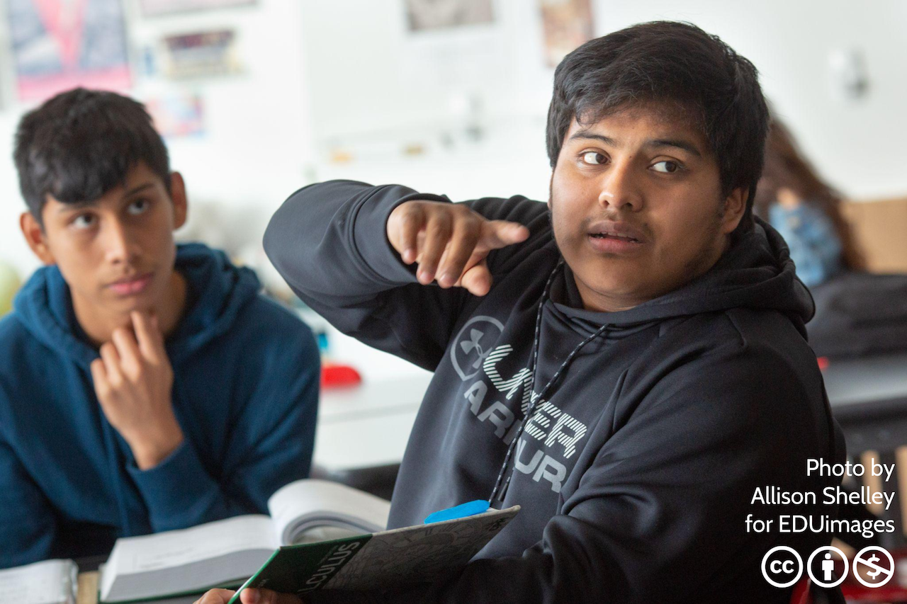 Cultivating Curiosity: Teaching Students to Ask Questions — Einstein ...