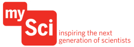 Curriculum — Einstein Project