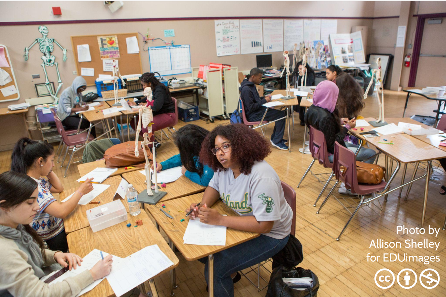 Meaningful Learning Through Science Storylines — Einstein Project