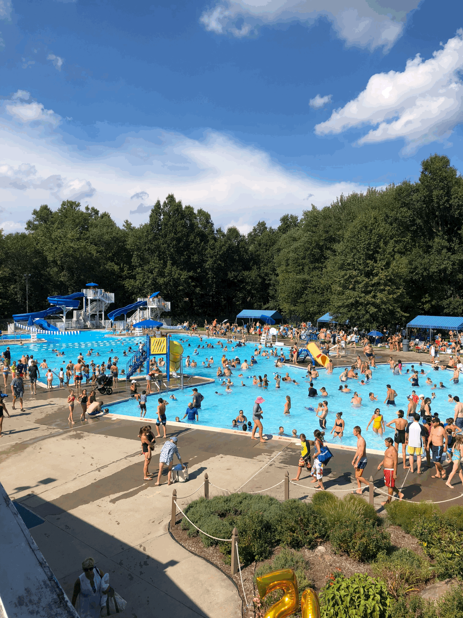Join MCP — Madison Community Pool