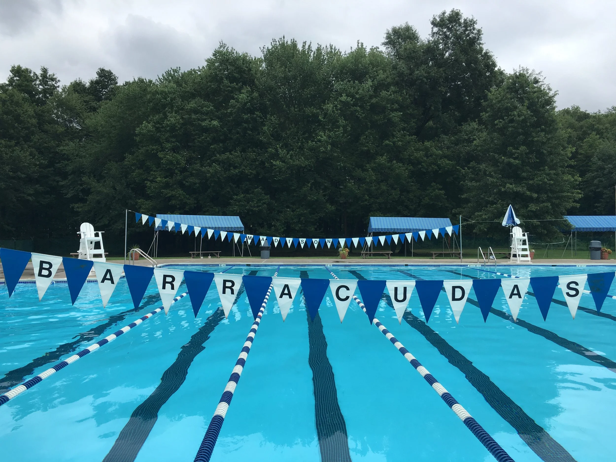 Swim Team — Madison Community Pool