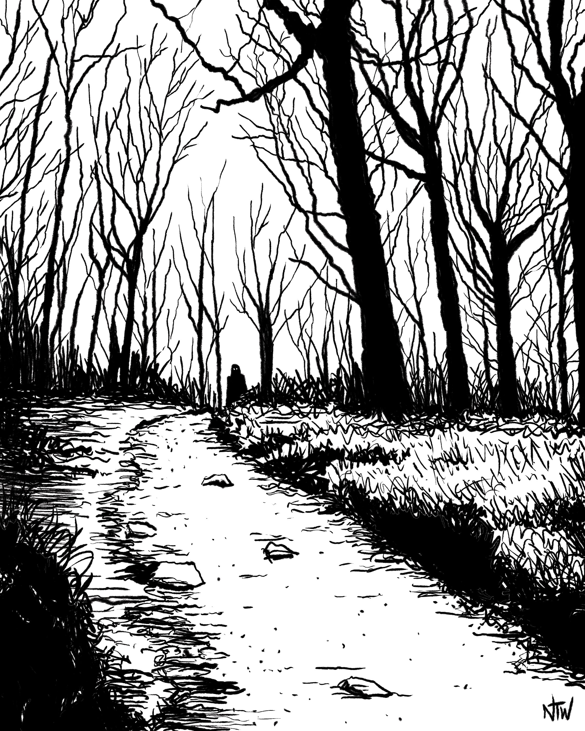 Black and White Drawings — Nathan T. Wright Illustration