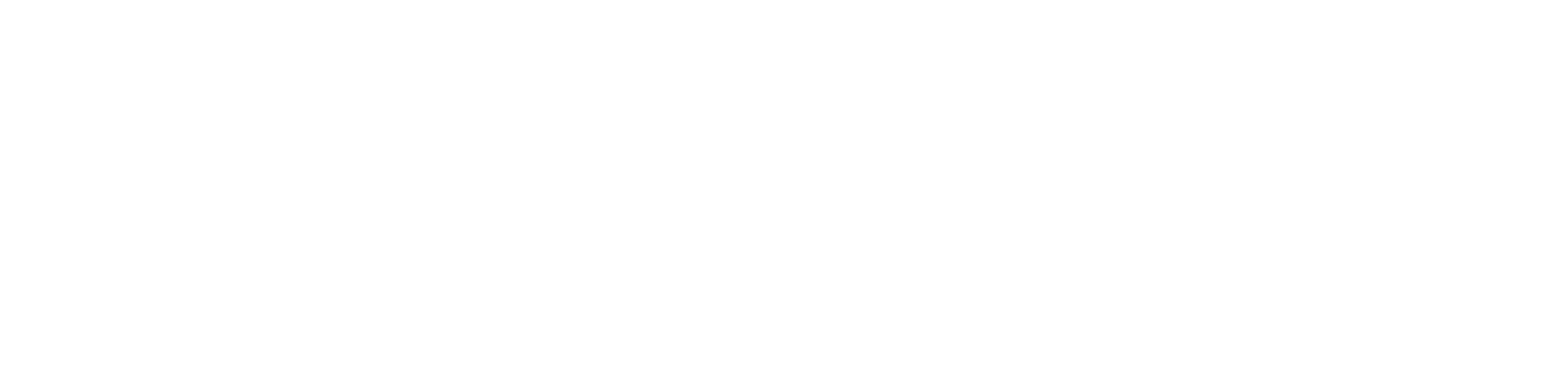 Rapp Strategies, Inc.