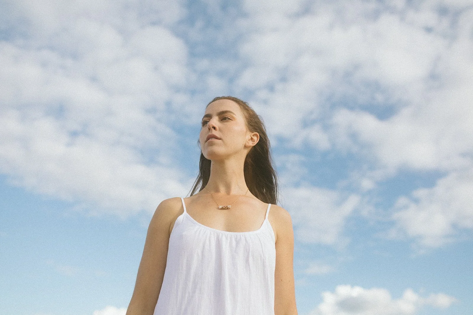 shop. — wayward fringe