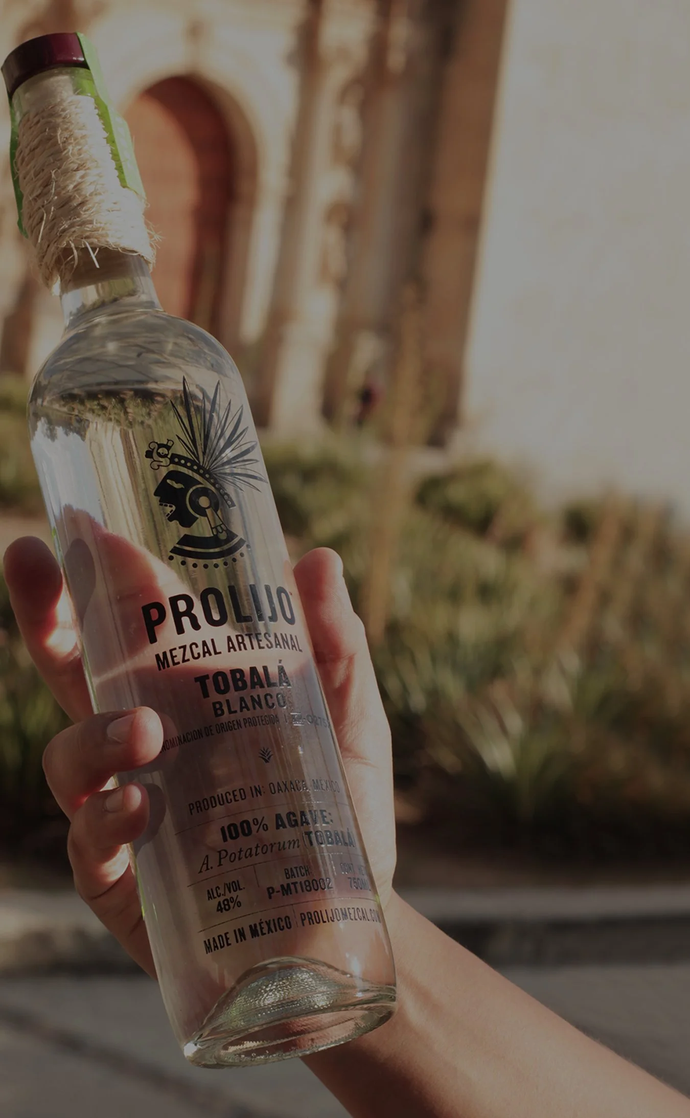 Prolijo Mezcal an Artisanal Mezcal from Oaxaca, Mexico