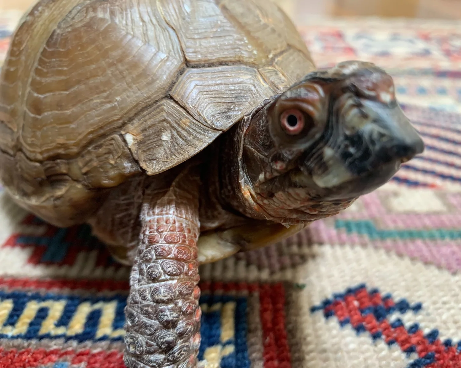 Meet Our Team! — Upwell