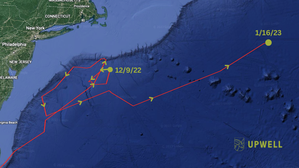 Nope Animated Gif Satellite