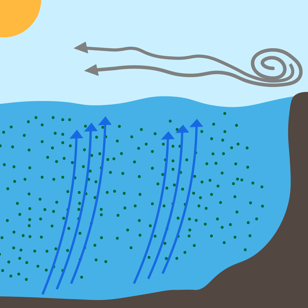 How Does Upwelling Bring Leatherbacks to the US West Coast? — Upwell