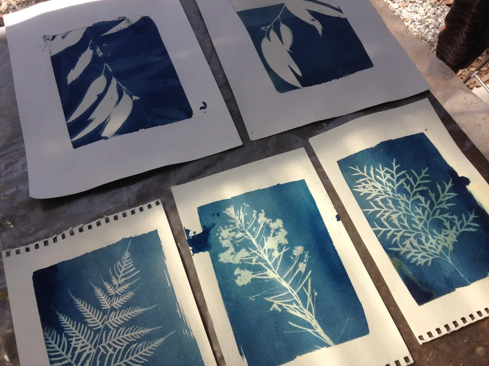 Why Cyanotype? — Marie Craig | Art Photography