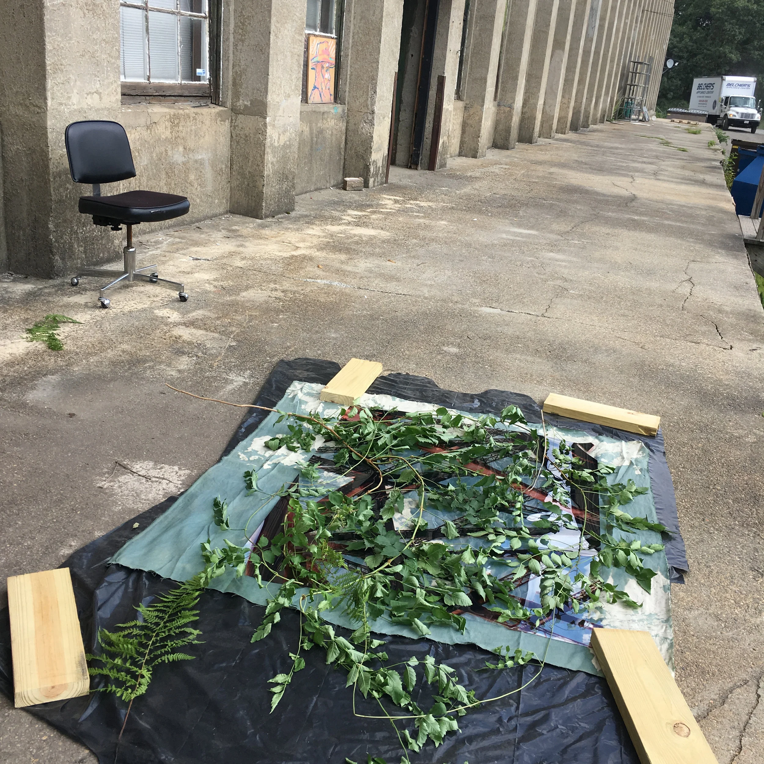 Why Cyanotype? — Marie Craig | Art Photography