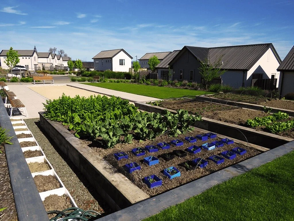 NVL Maintenance Portfolio — New Vision Landscapes Nelson