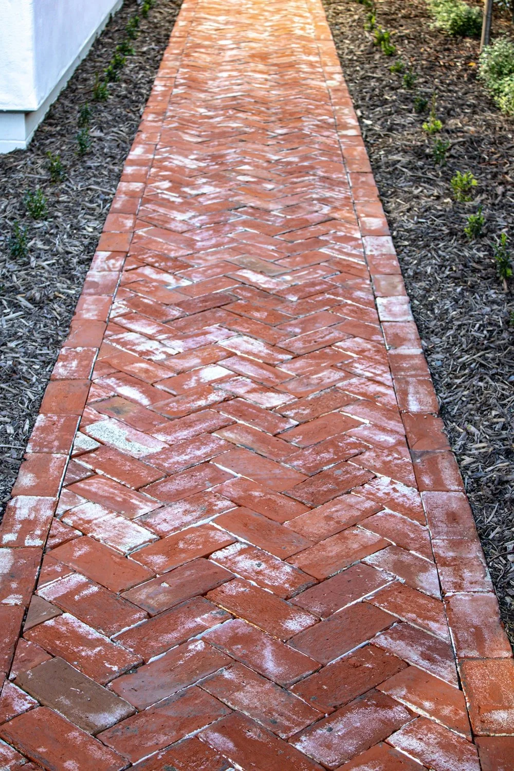 King Edward Street, Motueka — New Vision Landscapes Nelson