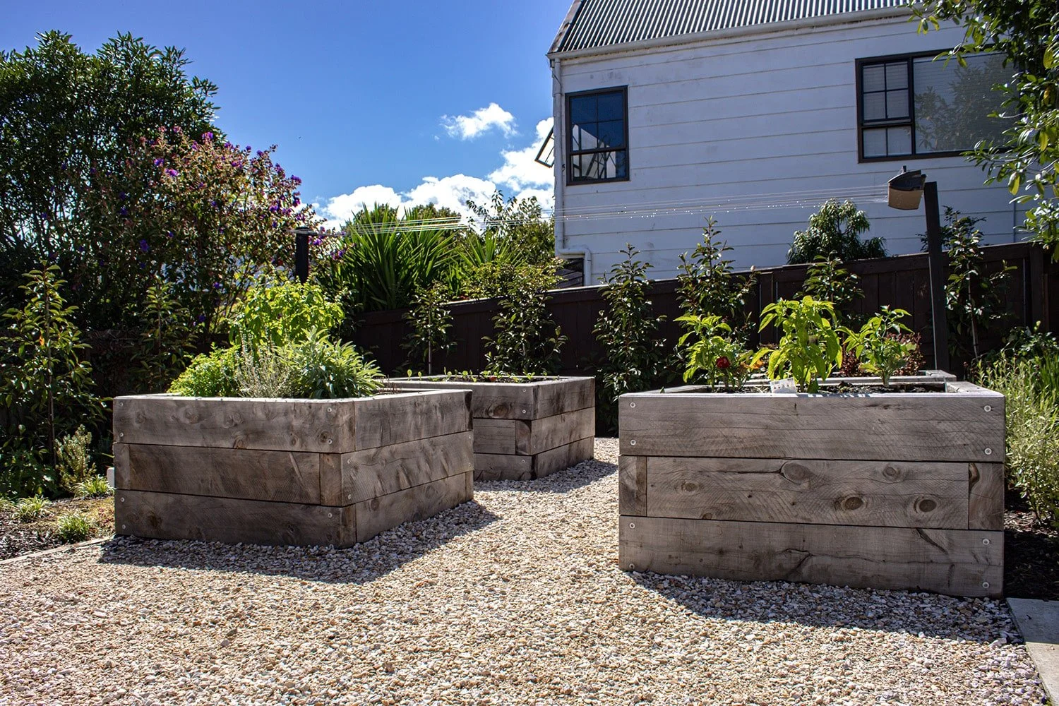 Richmond Ave, Nelson — New Vision Landscapes Nelson