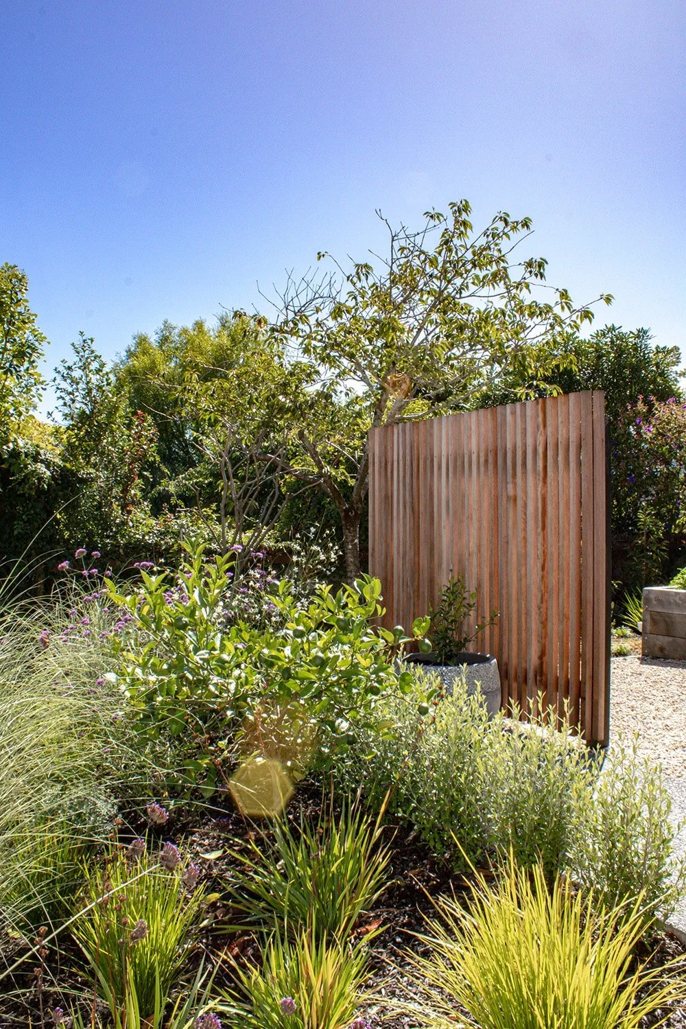 Richmond Ave, Nelson — New Vision Landscapes Nelson