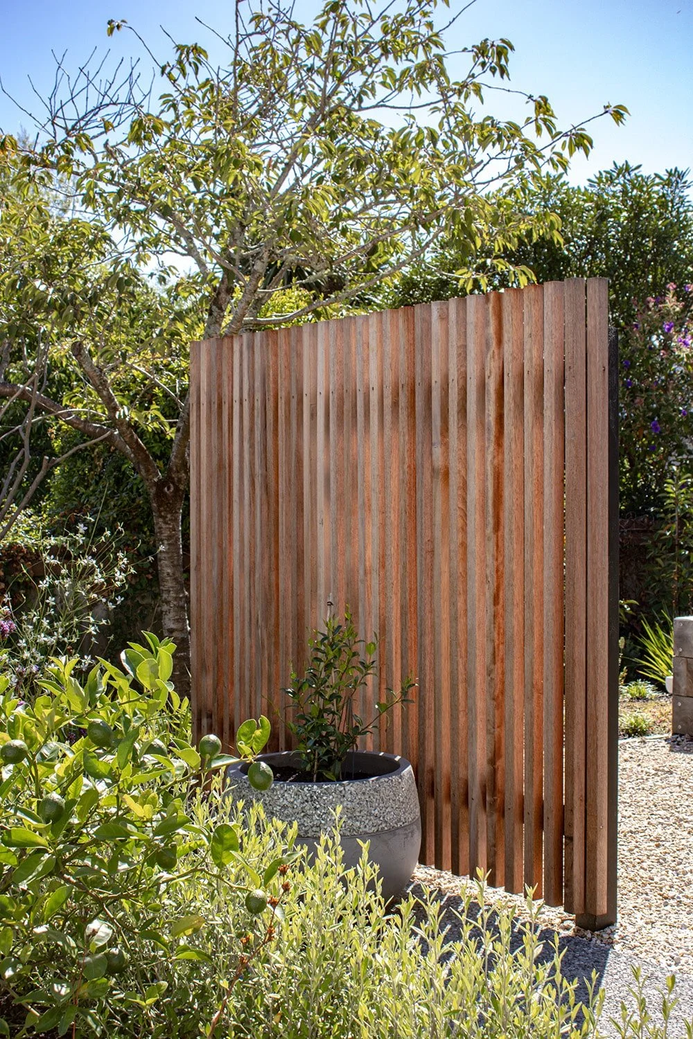 Richmond Ave, Nelson — New Vision Landscapes Nelson