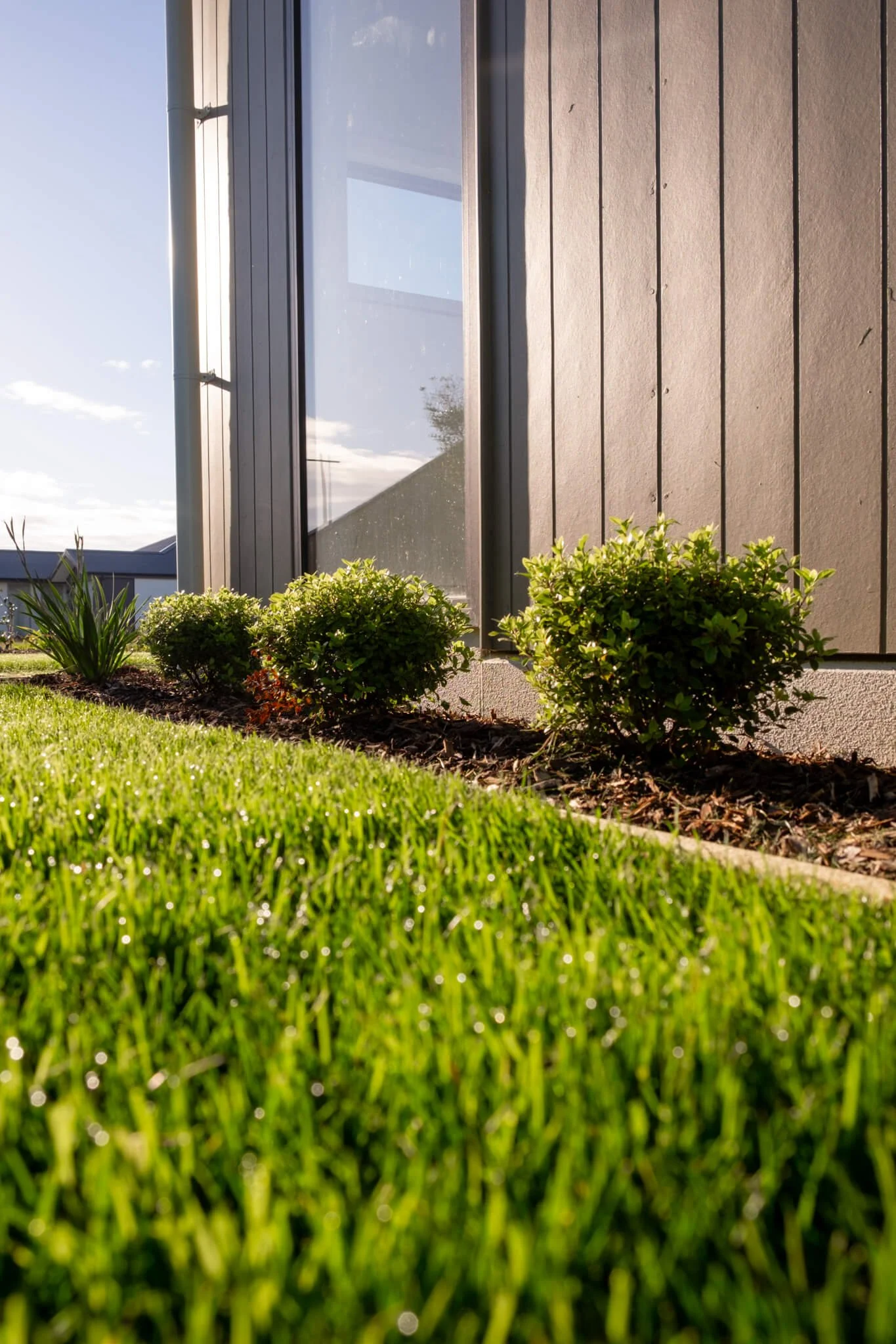Hanworth Road, Richmond — New Vision Landscapes Nelson