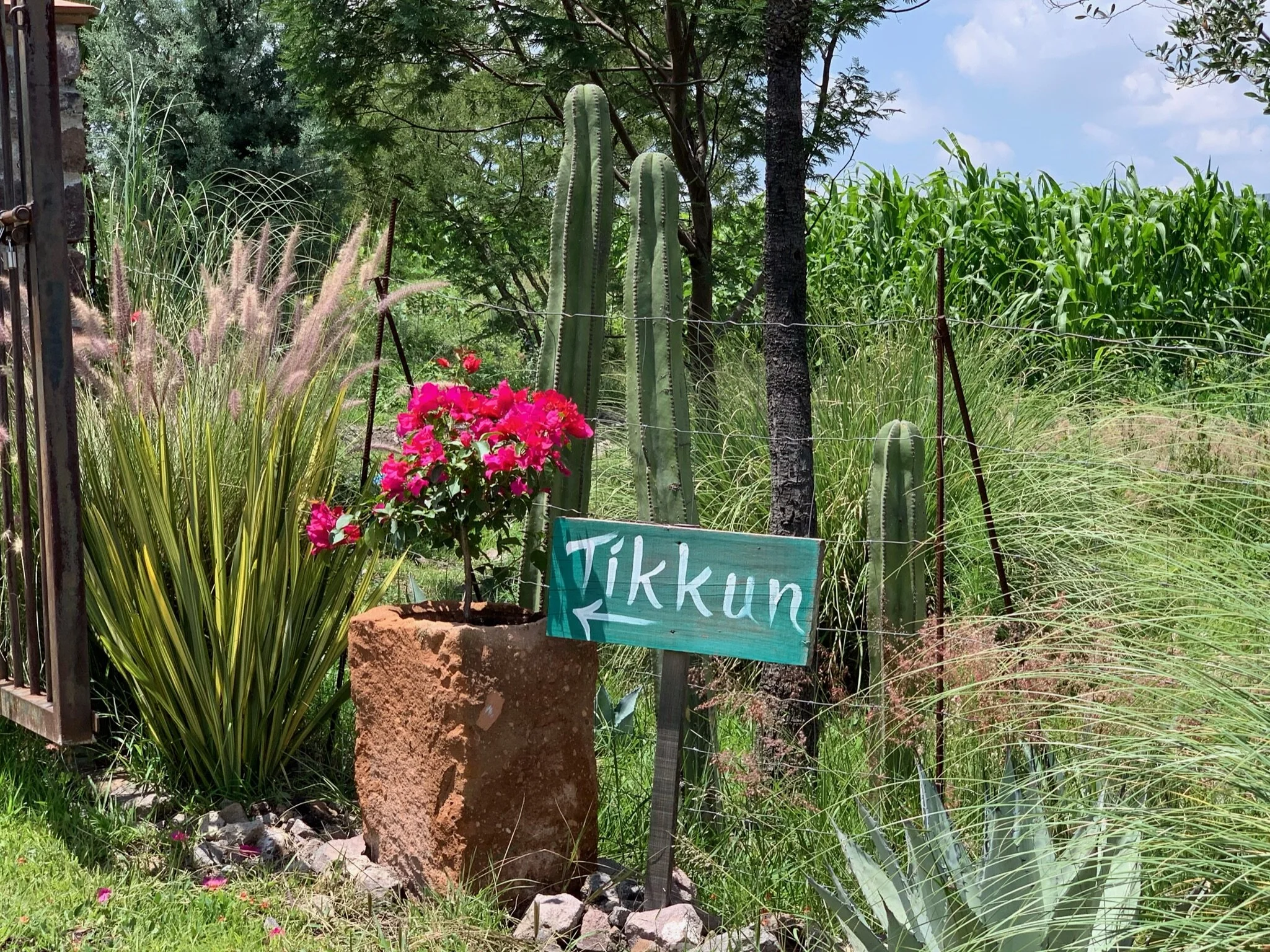 Tikkun Eco Center