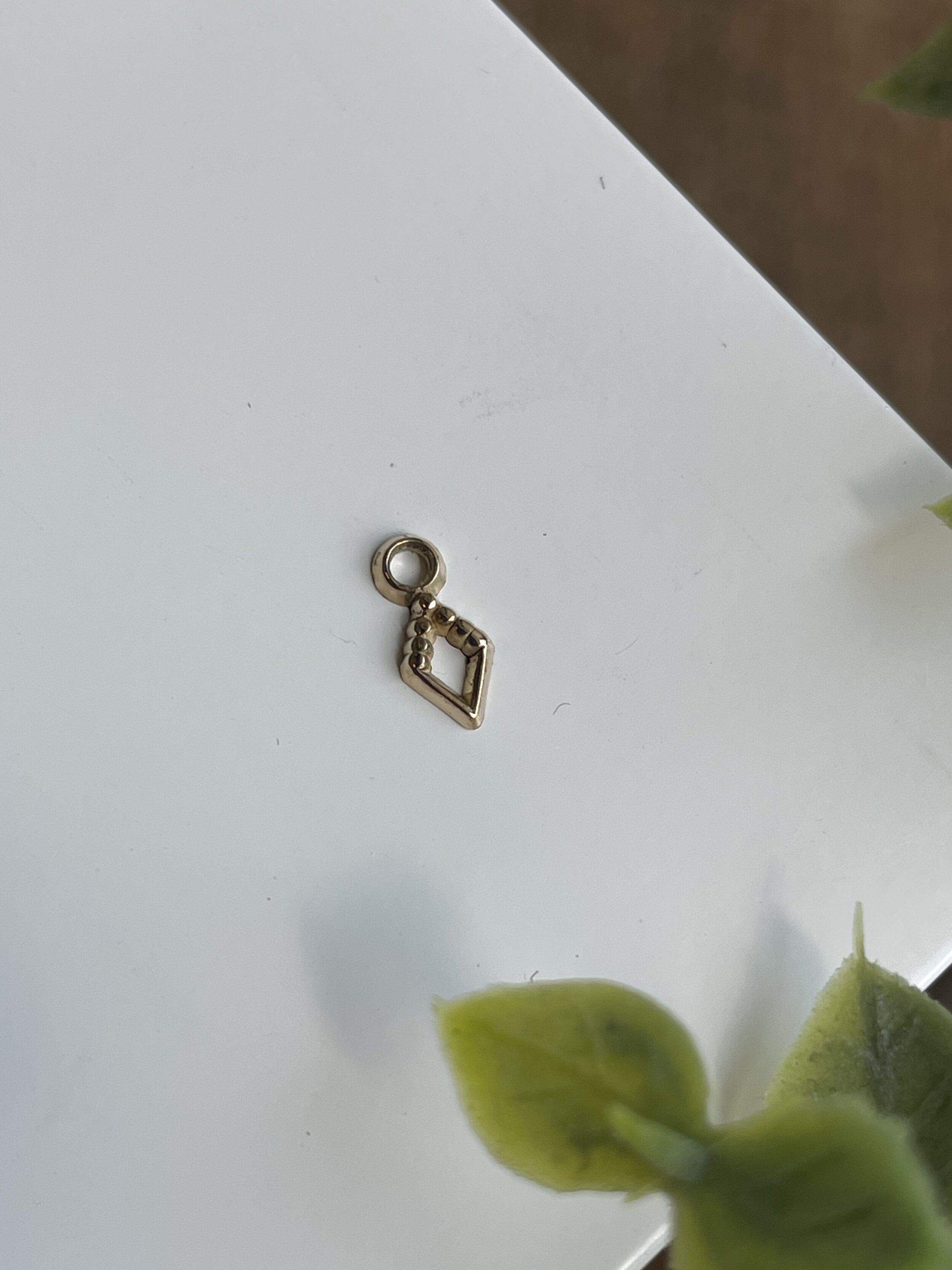 Earrings / Weights — TRIBAL RITES