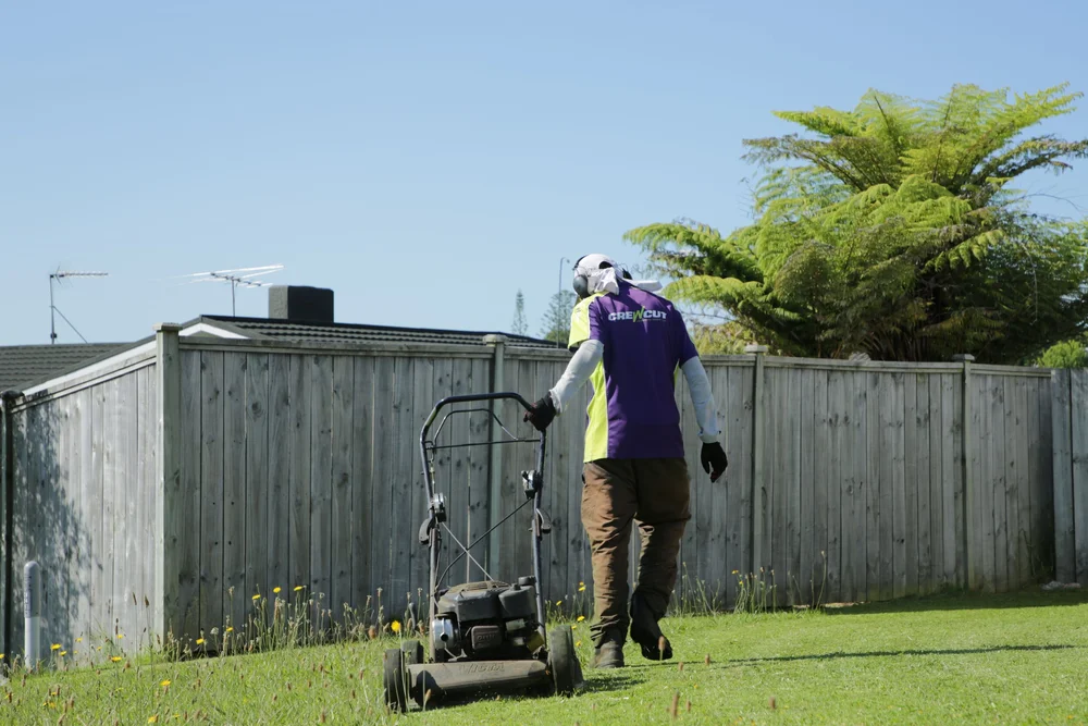 Lawn Mower Buying Guide | Crewcut Lawn & Garden