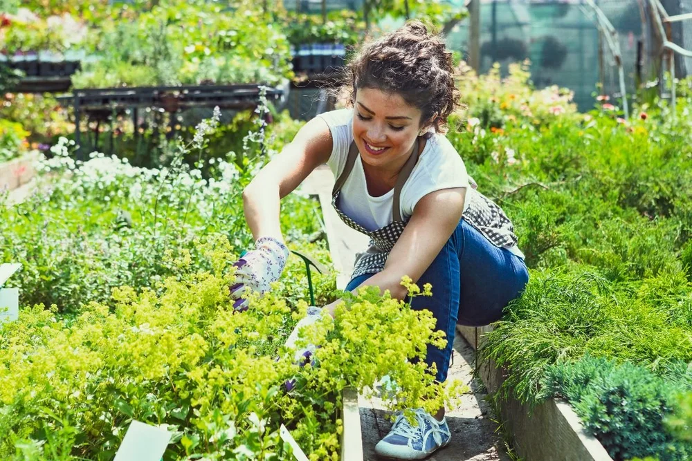 Regenerative Gardening 101: Everything You Need to Know | Crewcut Lawn ...