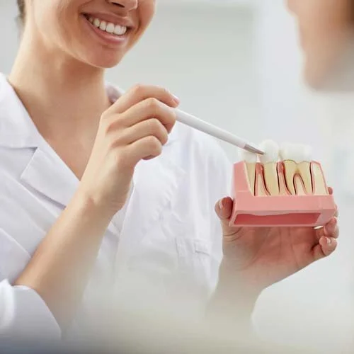 Our guide to dental checkups | Kowhai Dental — Whangarei Dentist ...
